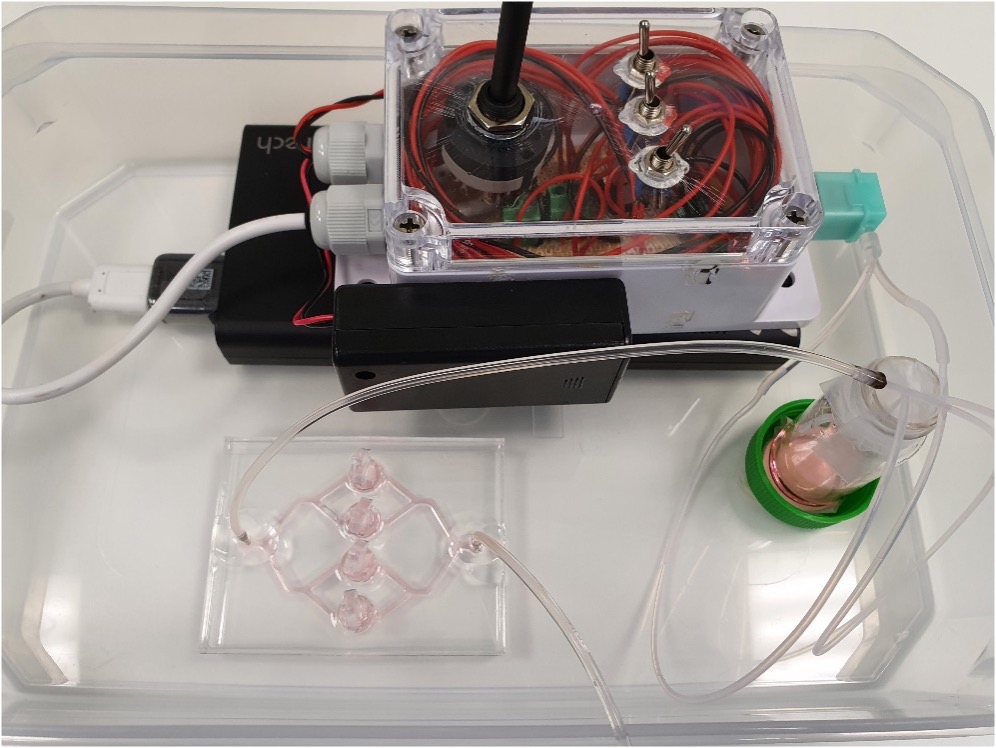 CMEMS – Center for Microeletromechanical Systems